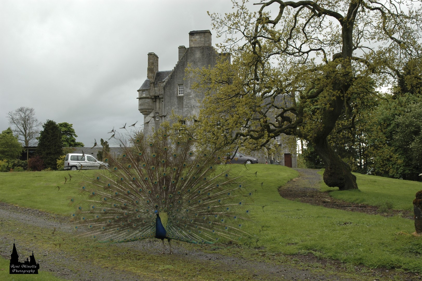 Tullibole Castle, Kinross, Schottland
